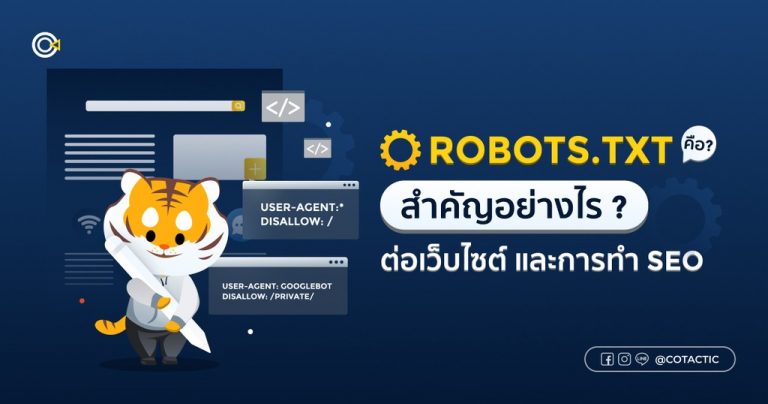 Robots txt คืออะไร สำคัญต่อเว็บไซต์และ SEO แค่ไหน | Cotactic